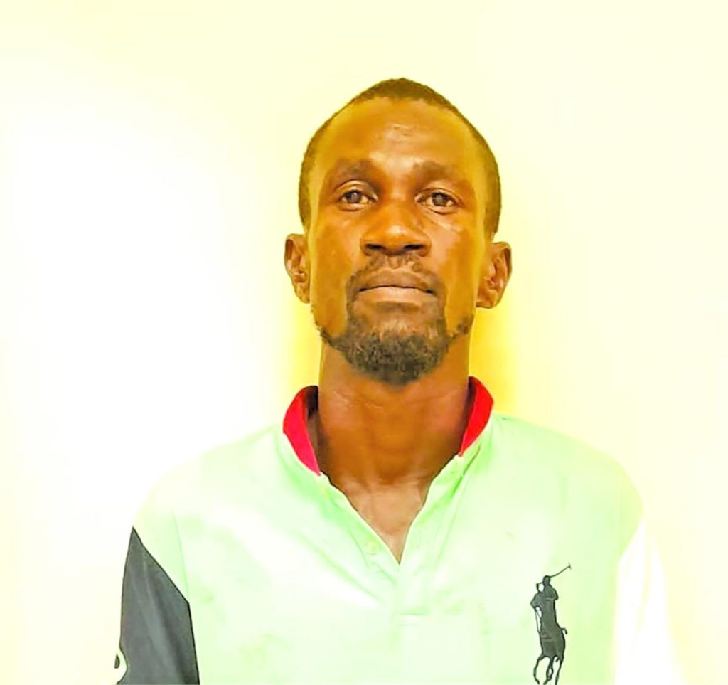 Labourer slapped with attempted murder charge - Guyana Times