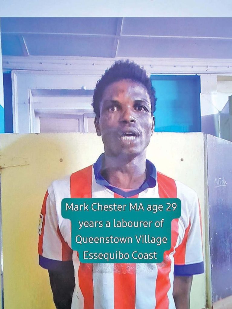 Man charged with attempted murder remanded - Guyana Times