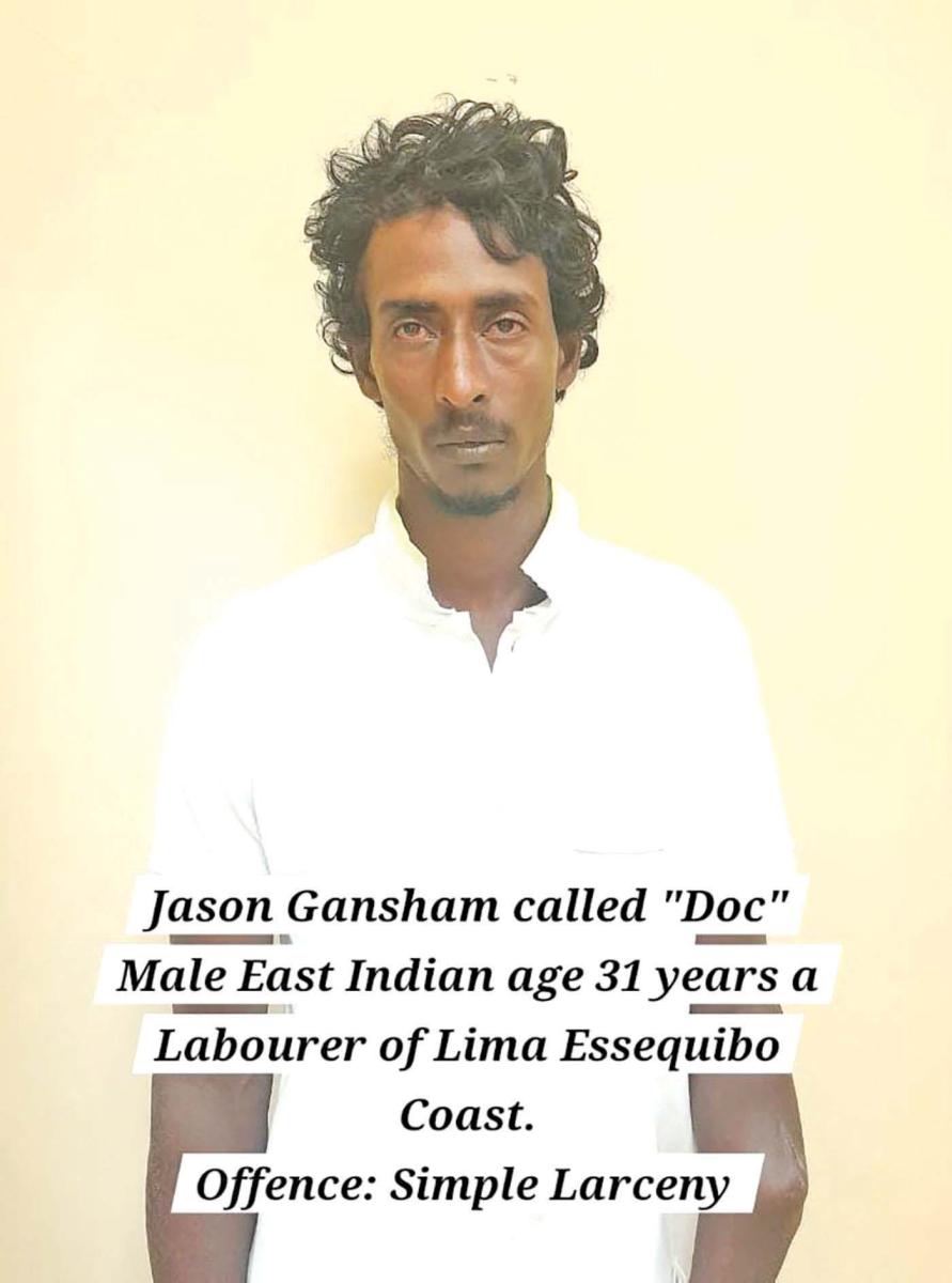 Essequibo Coast labourer gets 2 years for stealing goat - Guyana Times