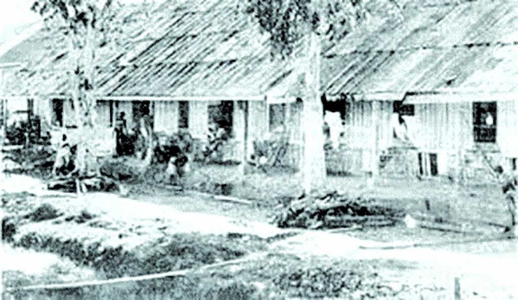On the Plantations: Housing - Guyana Times