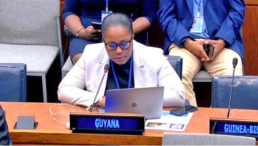 More PWDs employed as Guyana transitions from traditional work systems ...