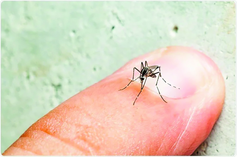 398 persons hospitalised with dengue so far this year – Health Minister - Guyana Times