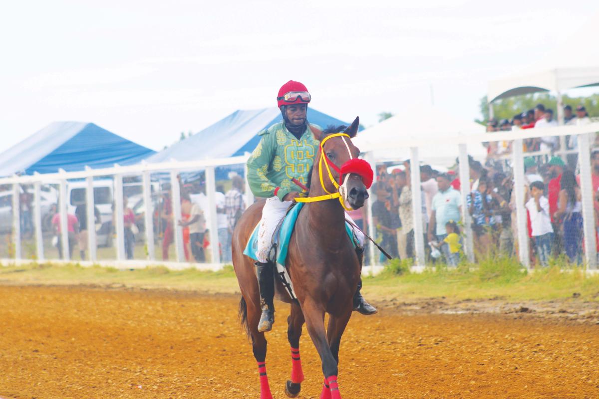 Jockey Paul Delph eyeing 4th win at Guyana Cup - Guyana Times