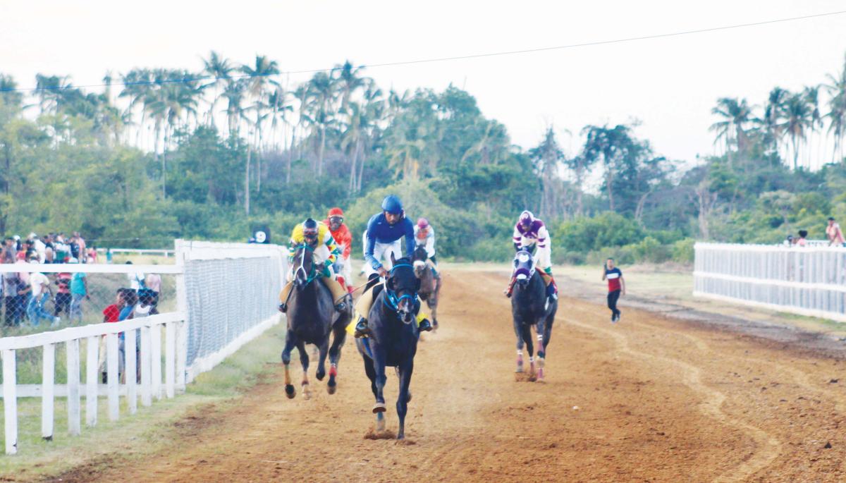 Caricom horse race meet 2024: Port Mourant Turf Club track stood out ...