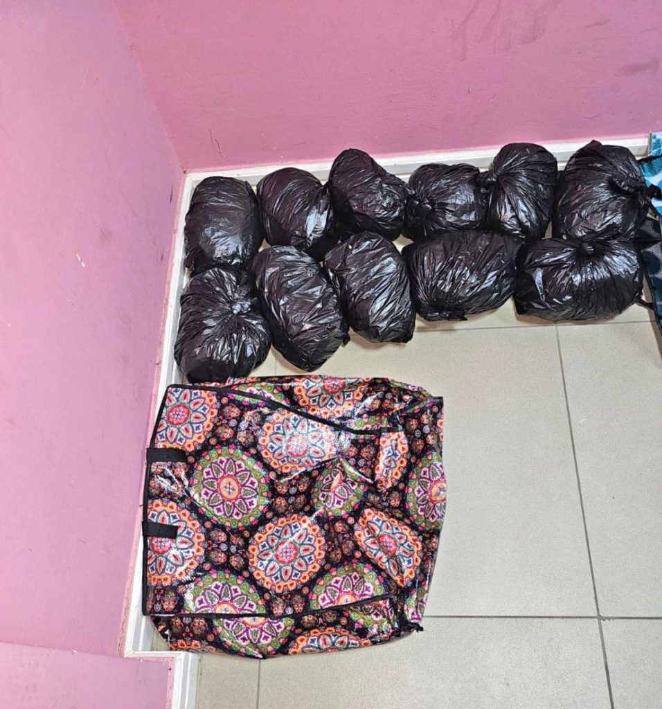 "Sir, is a ‘fine hustle’” – man caught with ganja tells cops - Guyana Times