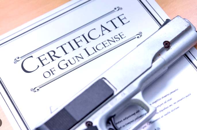 Over 3000 firearm licences issued from 2017-2023 – Min Benn - Guyana Times