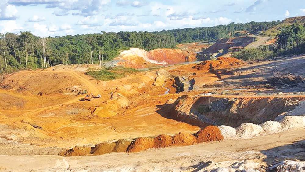 Guyanese among investors interested in abandoned Troy Resources mining ...