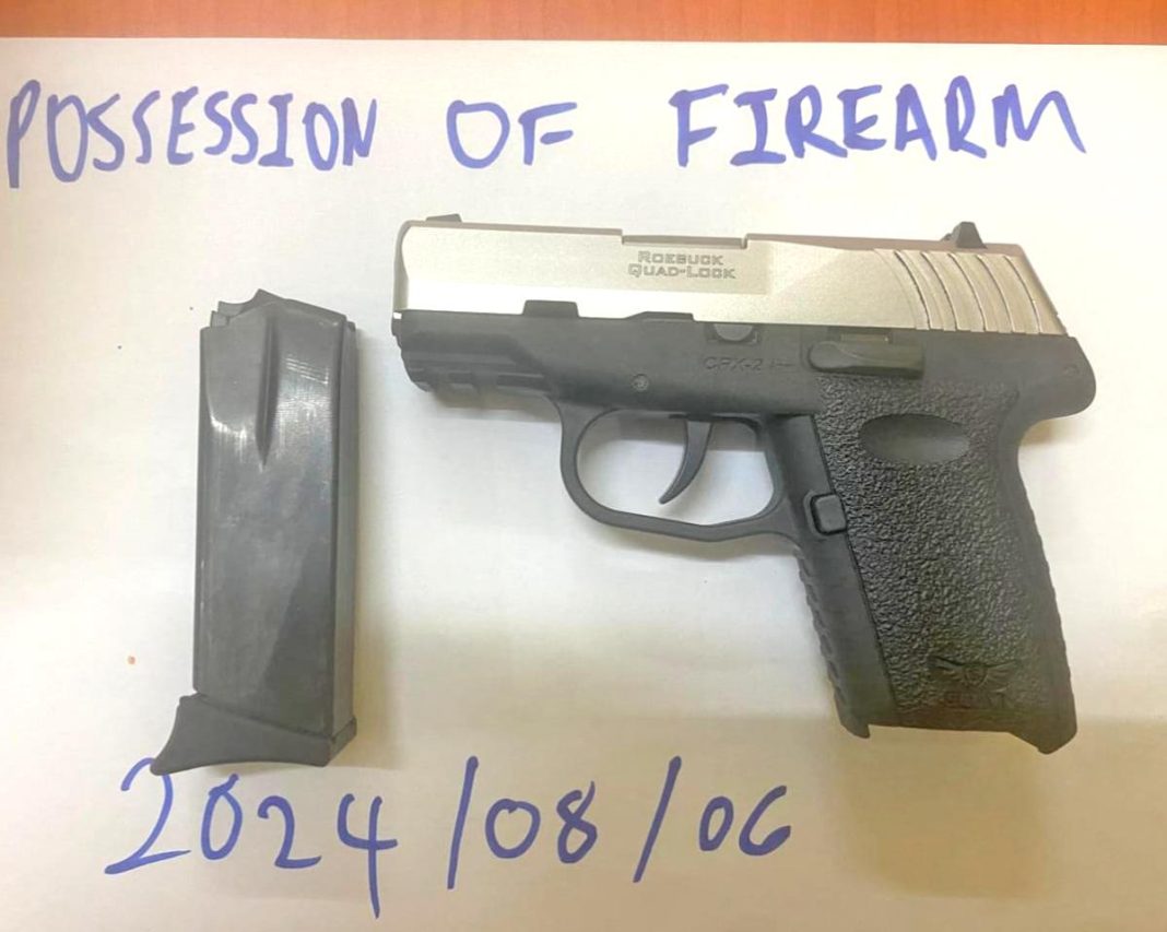 2 arrested for illegal gun possession - Guyana Times