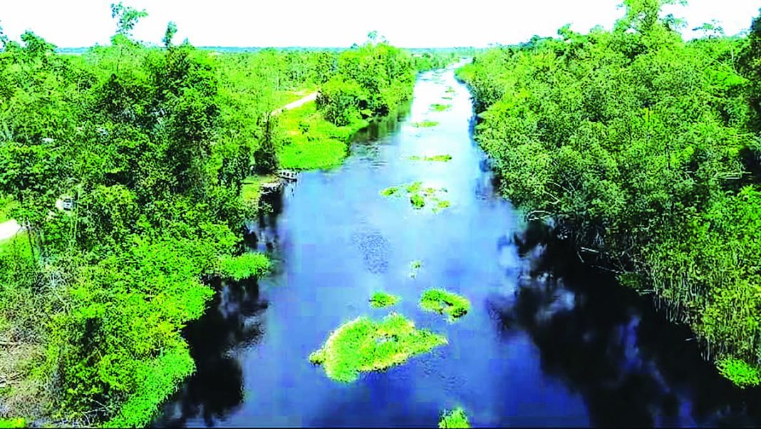 Floating grass, waste oil from power ship affecting Berbice fisherfolk ...
