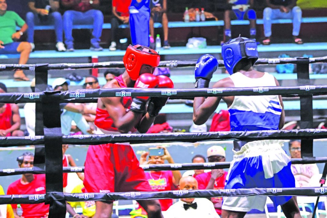 Poole eager to witness decentralisation of youth boxing - Guyana Times