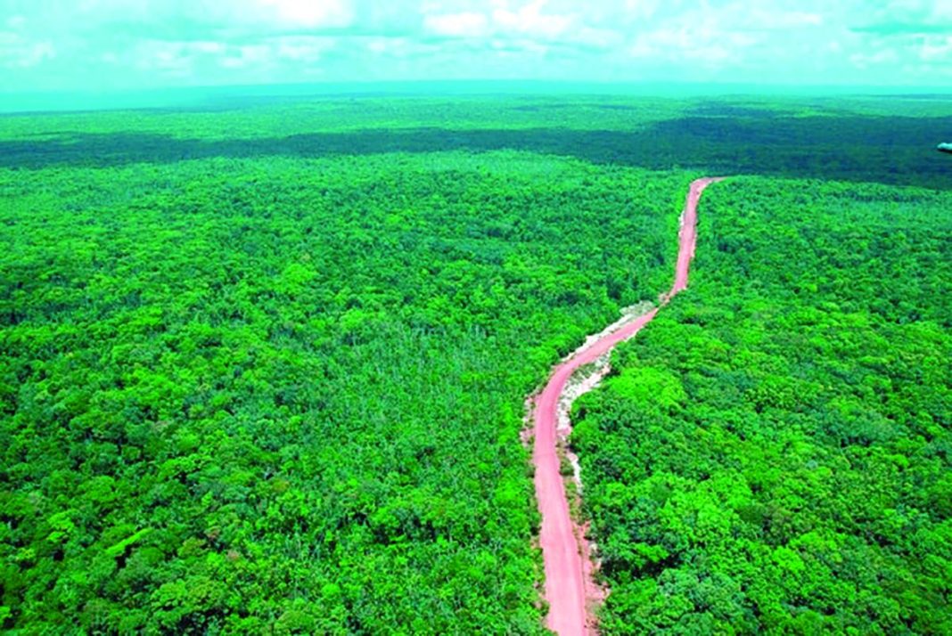 Guyana positioning itself as a global powerhouse for biodiversity ...