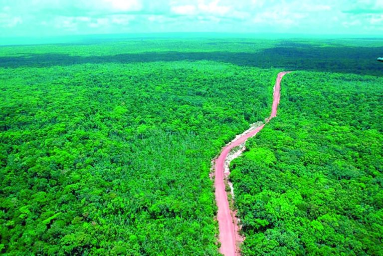 Guyana positioning itself as a global powerhouse for biodiversity ...
