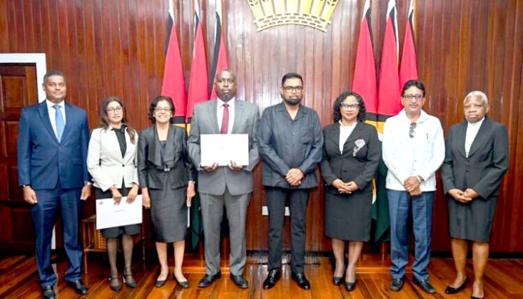 Law Reform Commission urged to focus on AI, Silica City laws - Guyana Times