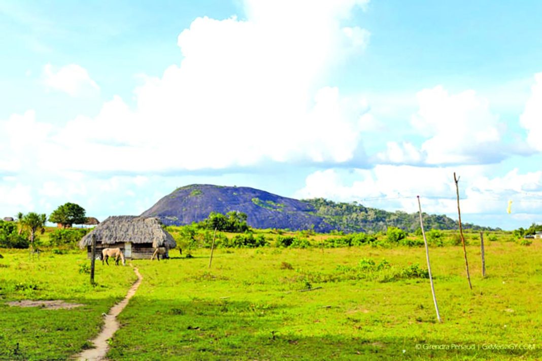 Rainforest Tours to host Safari in south Rupununi - Guyana Times