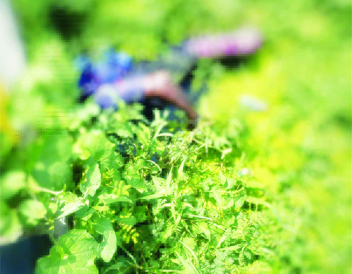 Decomposed body of unidentified male found in Eccles canal - Guyana Times