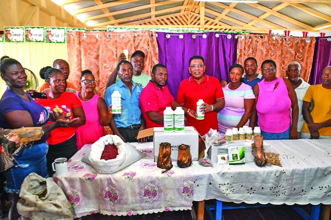 Youths encouraged to return to Baracara - Guyana Times