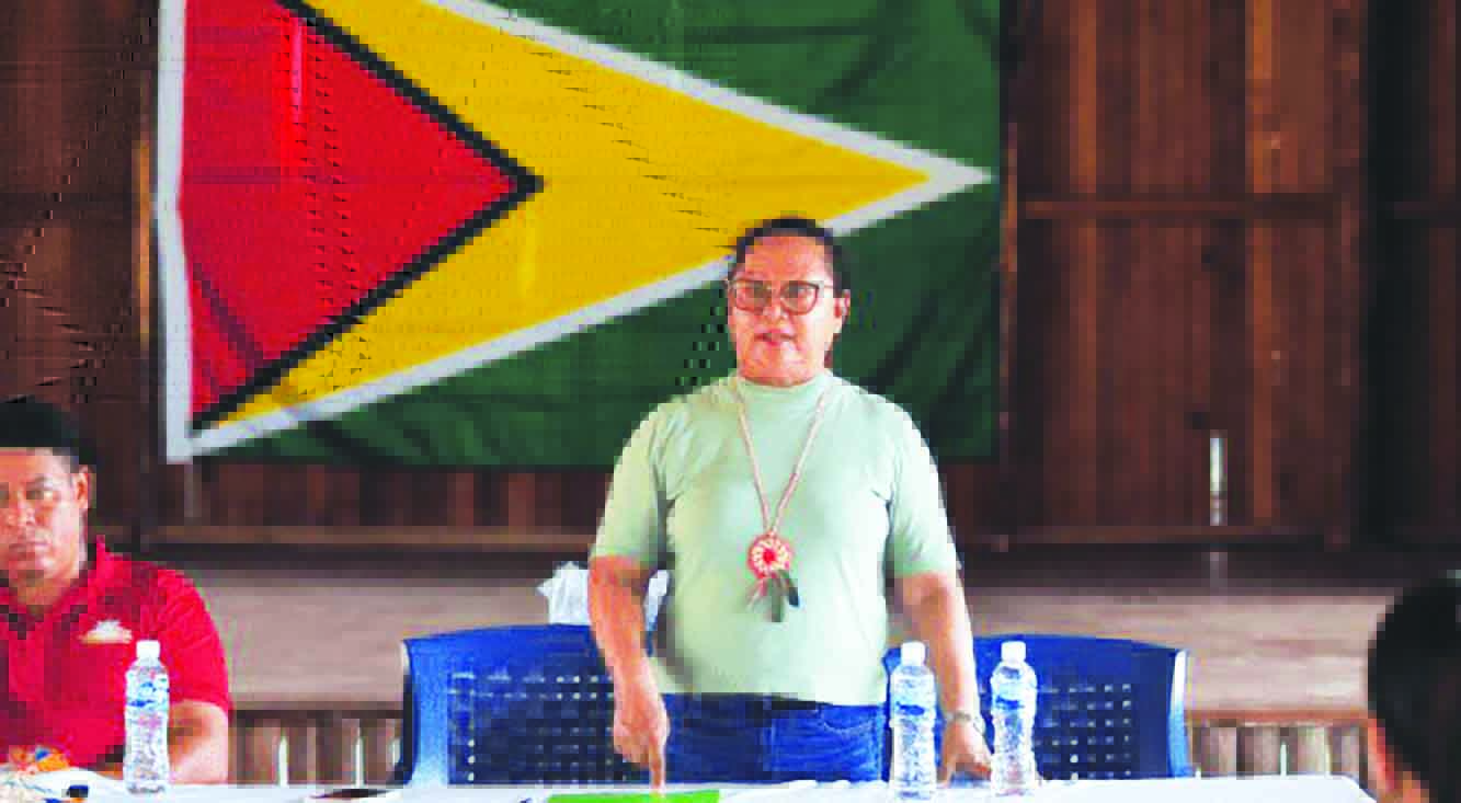 Youth involvement key to developing communities – Sukhai - Guyana Times