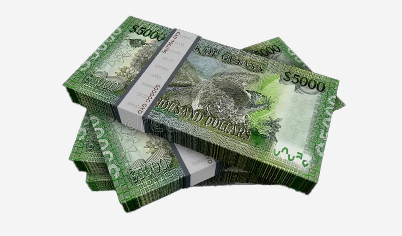 $100k cash grant initiative designed to bring relief to every Guyanese ...