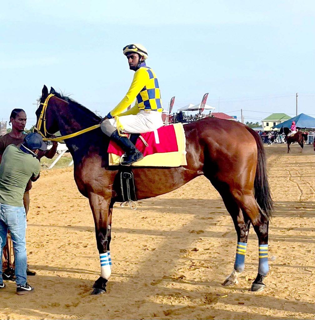 Showdown of Champions Horse Race meet: Stormy Victory, Morning Colors ...