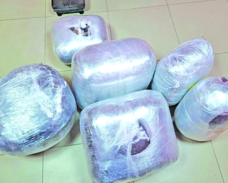 Police tipoff leads to interception of 62kg ganja at Craig - Guyana Times
