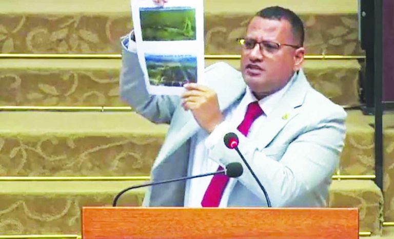 15,000 new house lots, 20 new housing areas by June – Collin Croal ...