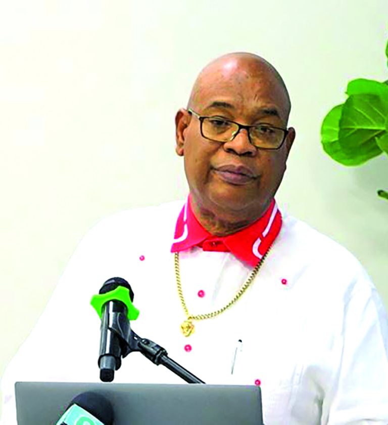 New Berbice River Bridge: 7 international companies shortlisted, to ...