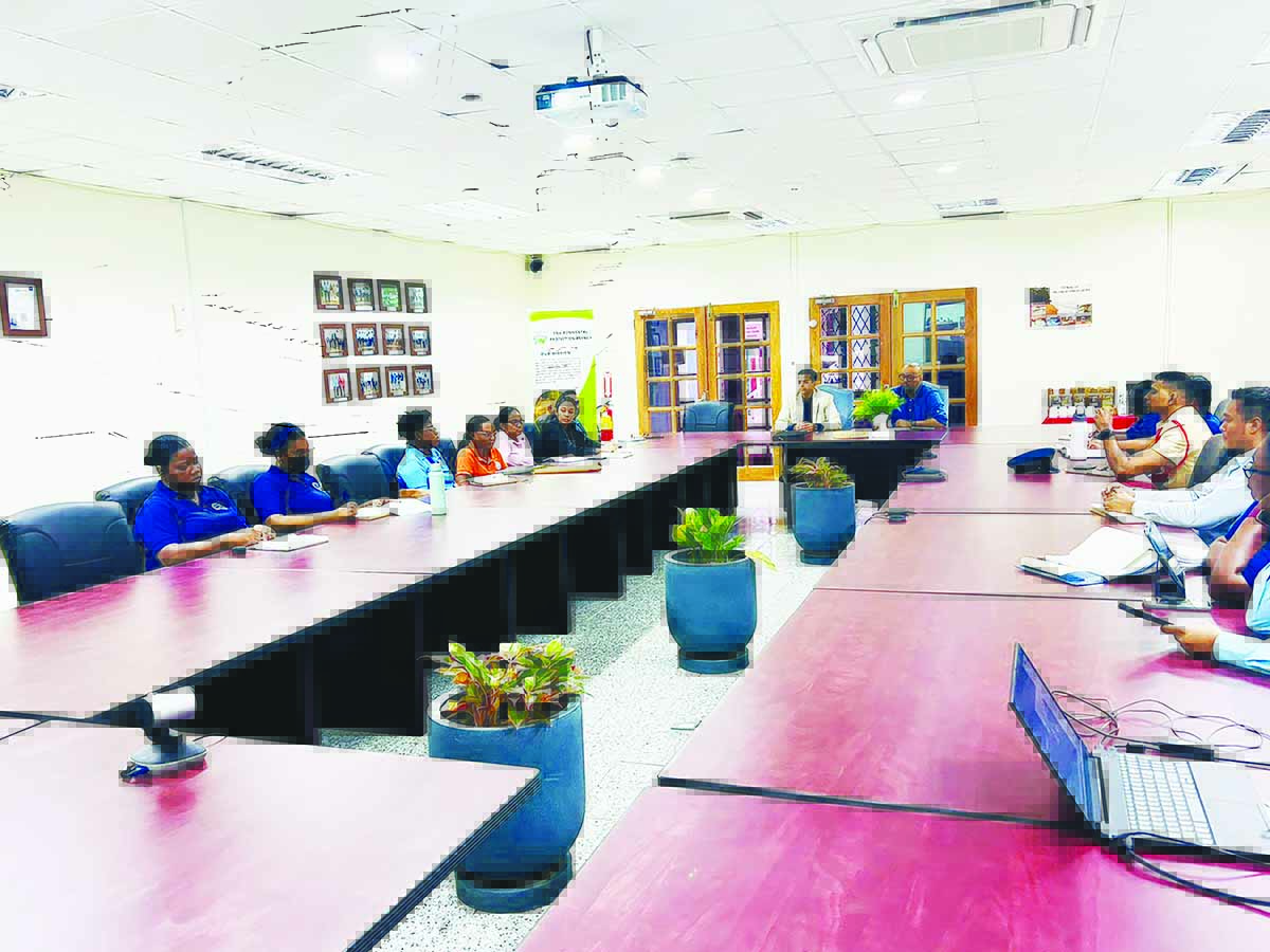 Several Govt agencies coordinating efforts to review spate of gas ...