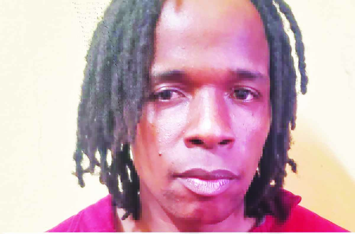 Essequibo man pleads guilty to firearm, ammo charges; remanded to prison - Guyana Times