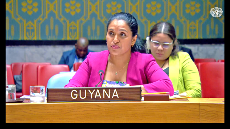 Guyana’s UN representative calls for permanent Gaza ceasefire, end to ...