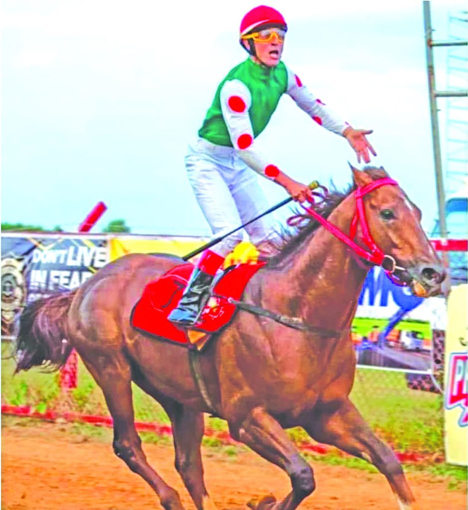 Olympic Kremlin crowned Horse of the Year at One Guyana Thoroughbred ...