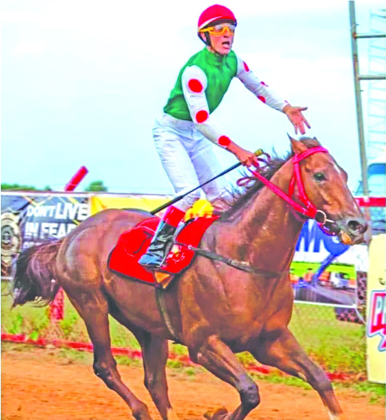 Olympic Kremlin crowned Horse of the Year at One Guyana Thoroughbred ...