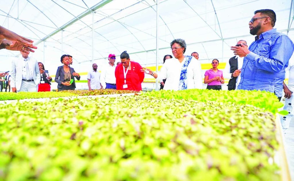 Vision 25 by 2025: Caricom records significant achievements in food ...