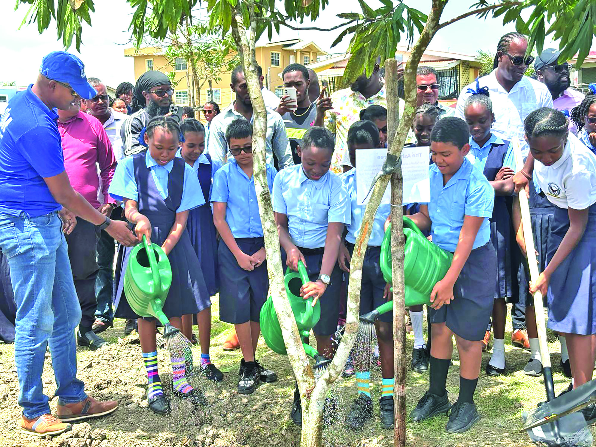 PAC launches $600M tree planting initiative - Guyana Times