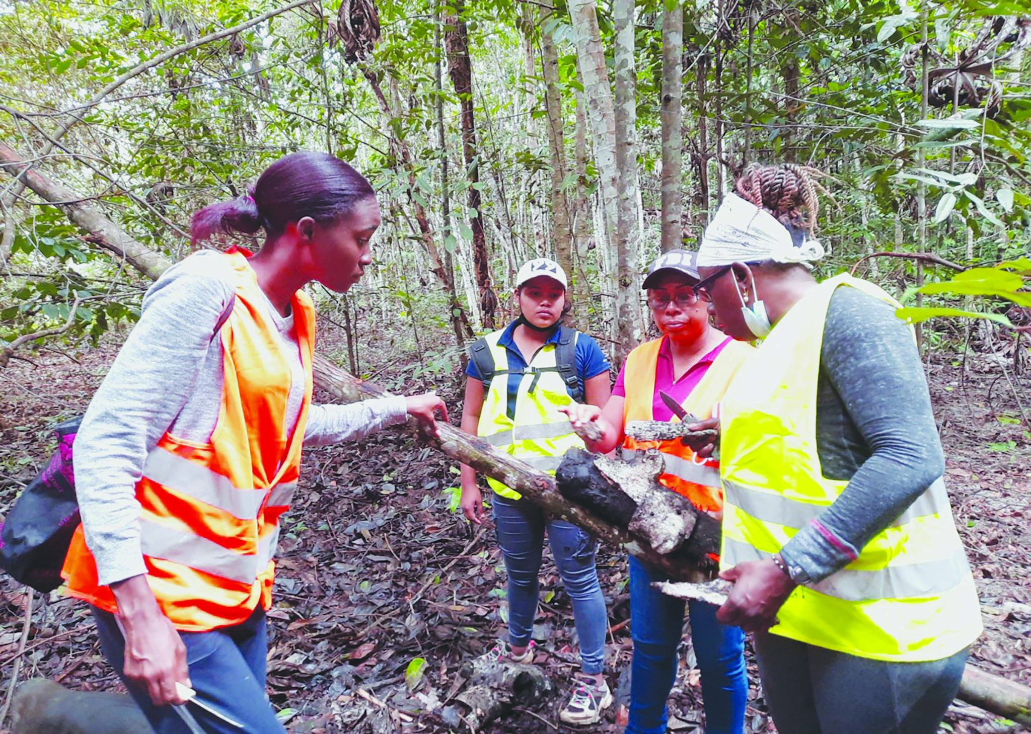 Iwokrama’s one-million-acre forest laboratory offers training, research ...