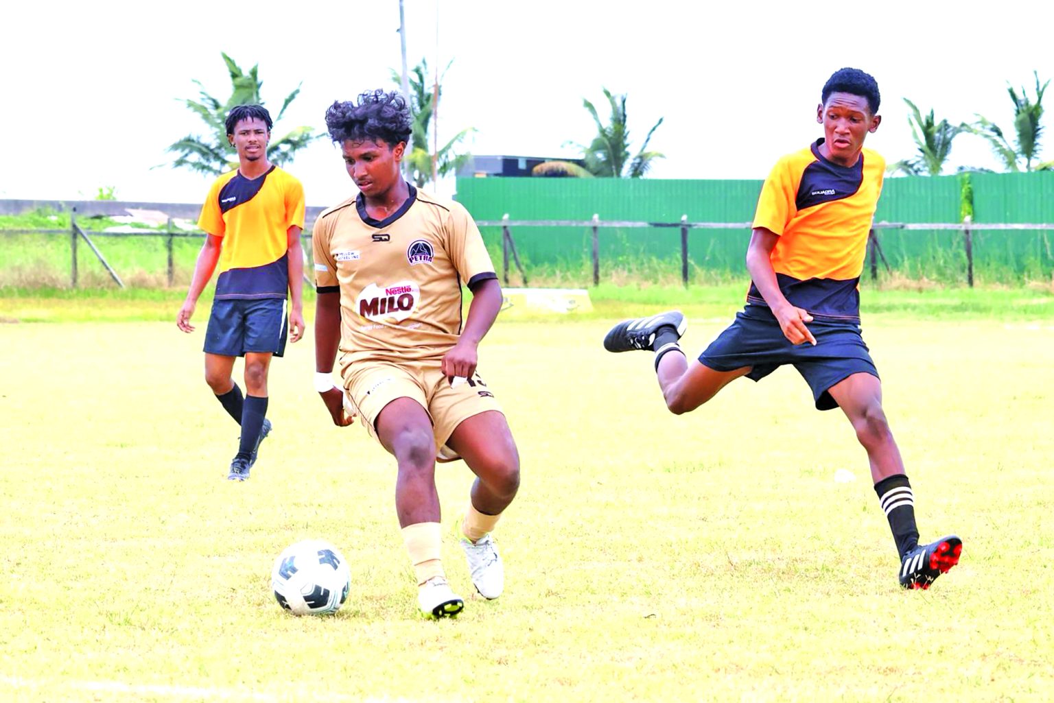 Milo Football: Chase’s Academic Foundation among 1st teams to advance ...