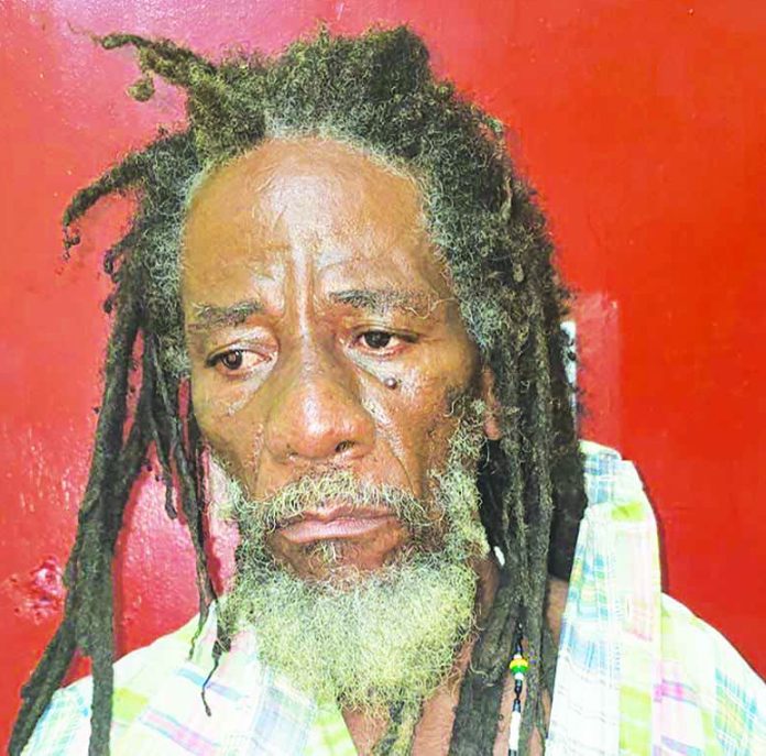 2 firemen among 4 charged for ganja trafficking, cultivation - Guyana Times