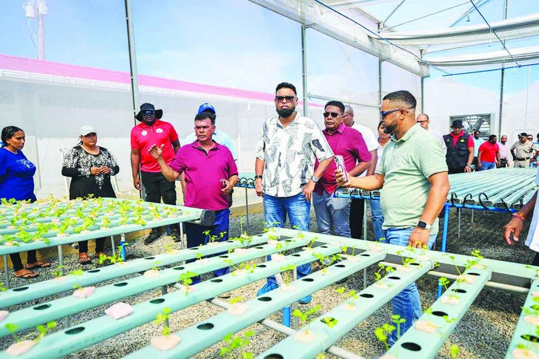 Pres Ali, Agri Min visit Fort Wellington Hydroponic Farm, processing ...