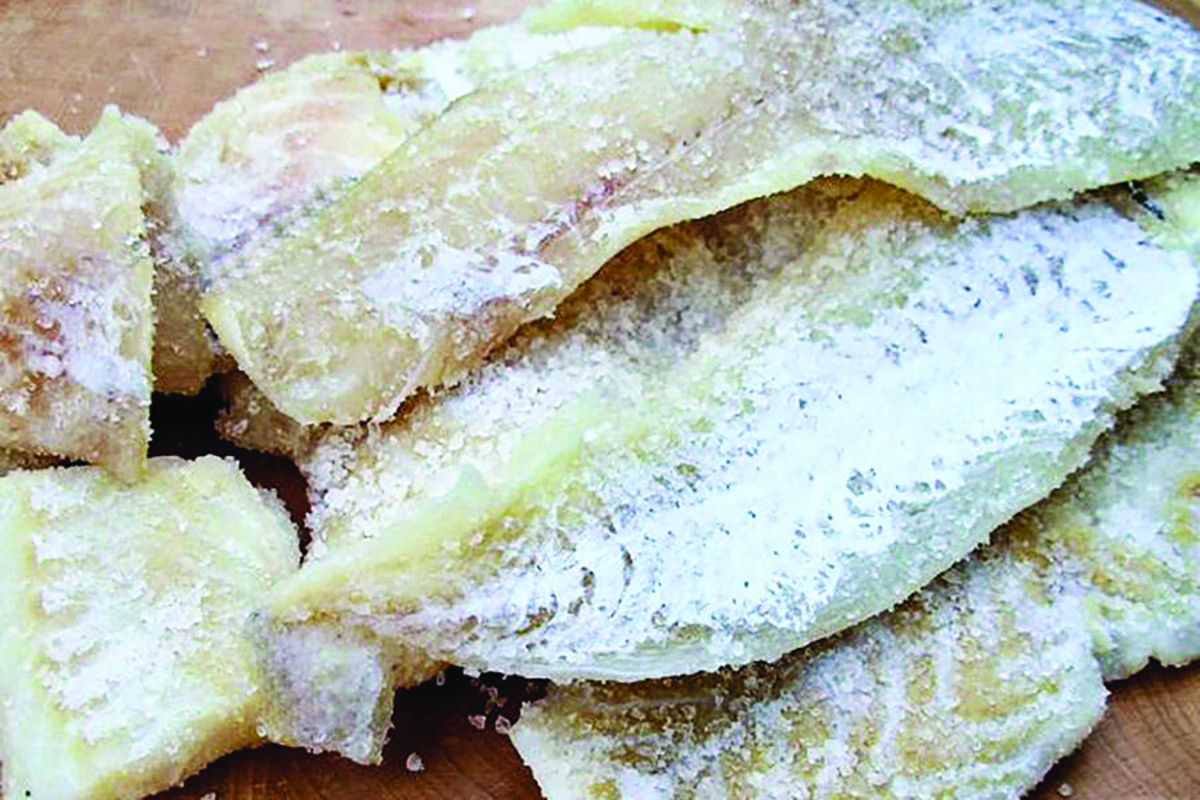 GNBS develops Guyana Standard specifications for salt fish, dried salt ...