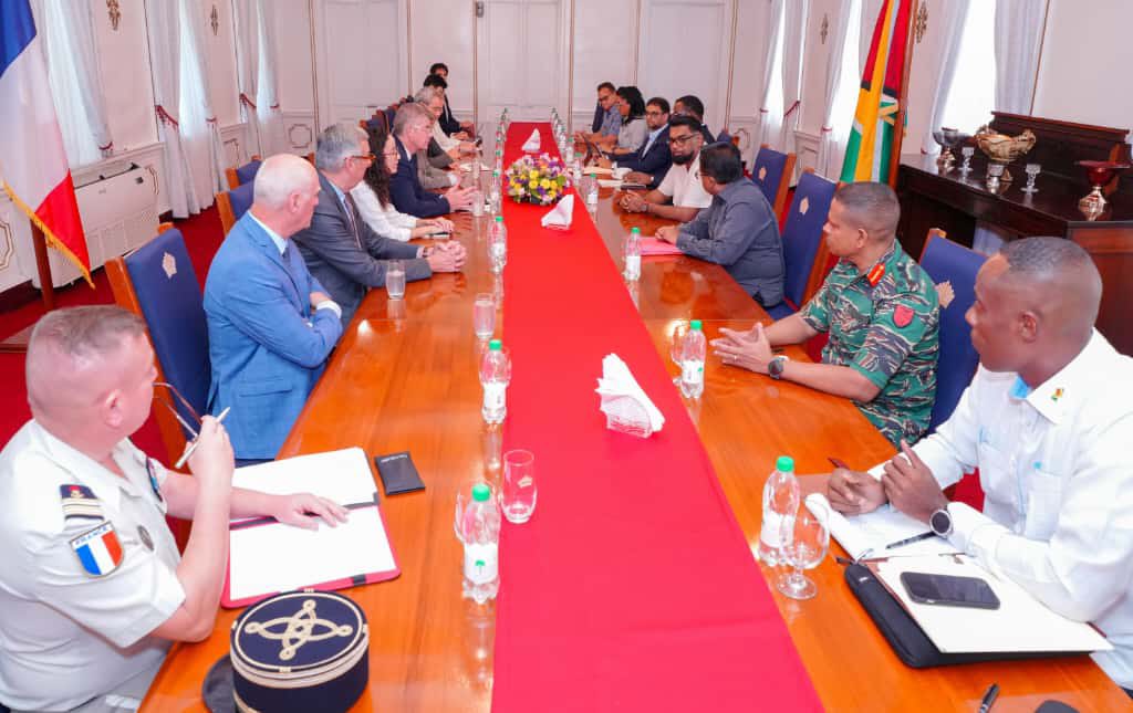President Ali, French Senate delegation advance diplomatic, security ...