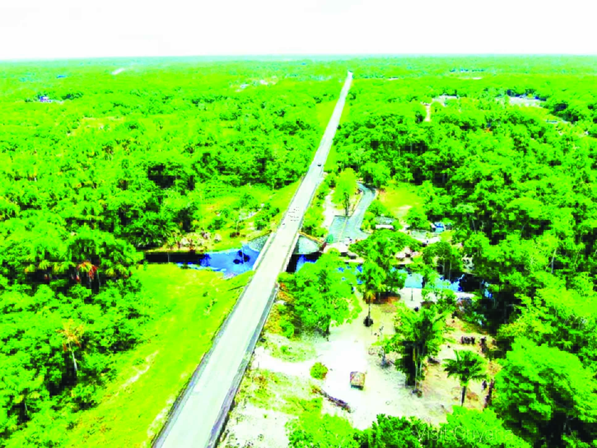 Government exploring light rail, mass transit for Linden-Lethem Road ...