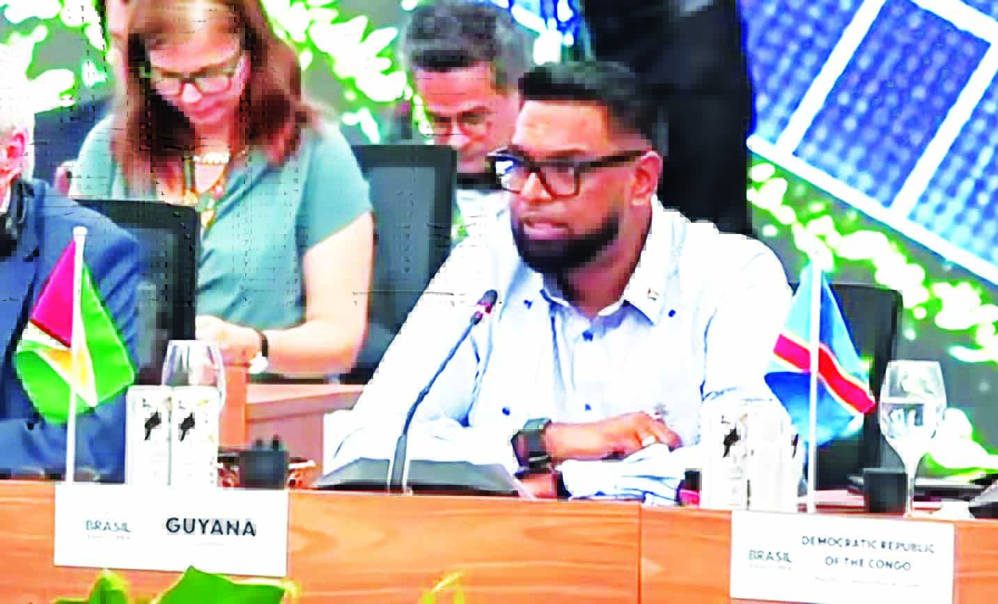 COP30 in Brazil: Calls for new producers to leave oil in ground protect ...