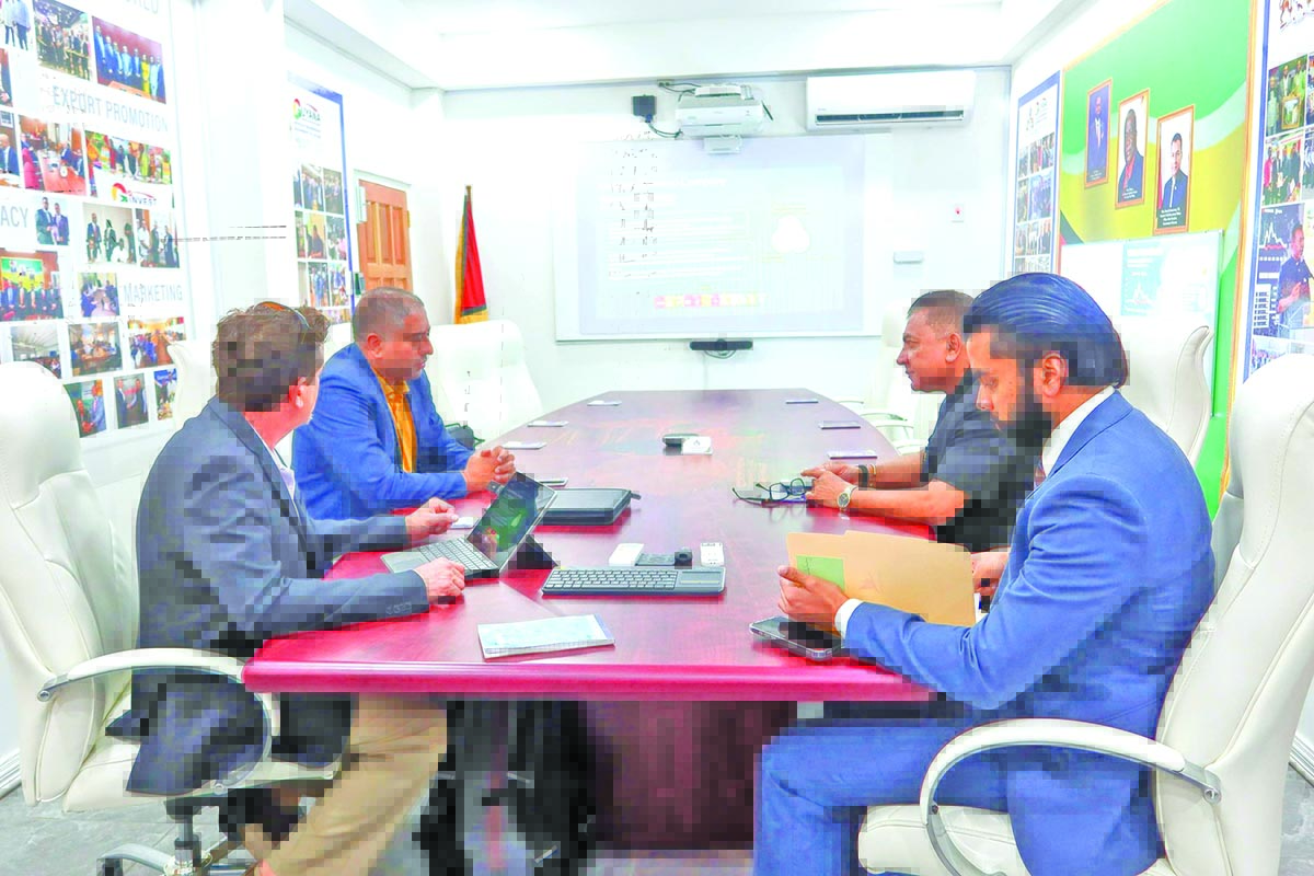 Govt, investors move to expand bamboo cultivation, manufacturing in ...