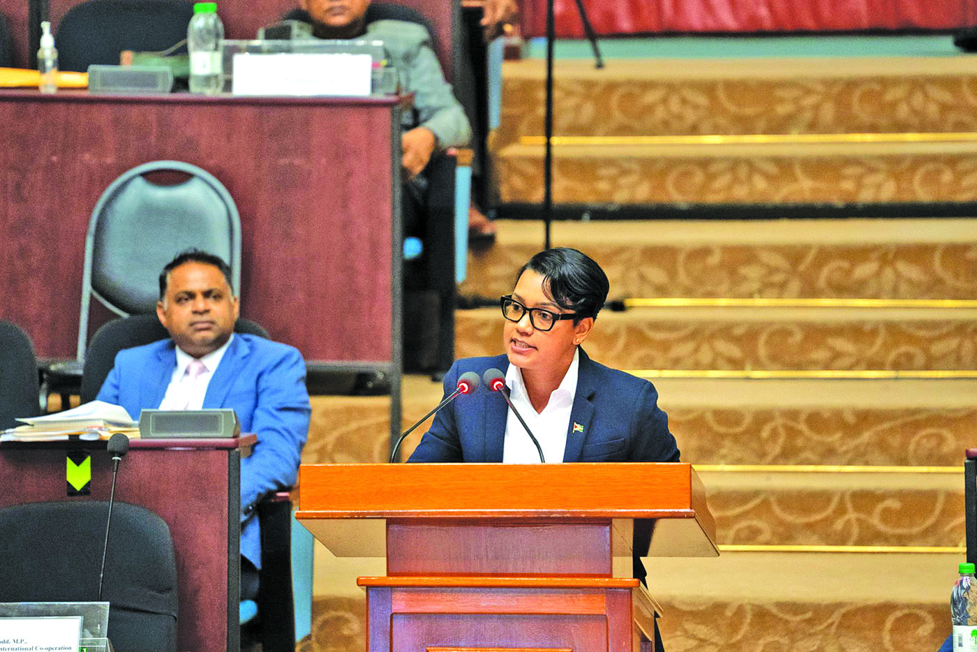 Guyana to add 1000+ hotel rooms in 2026 – Tourism Minister - Guyana Times
